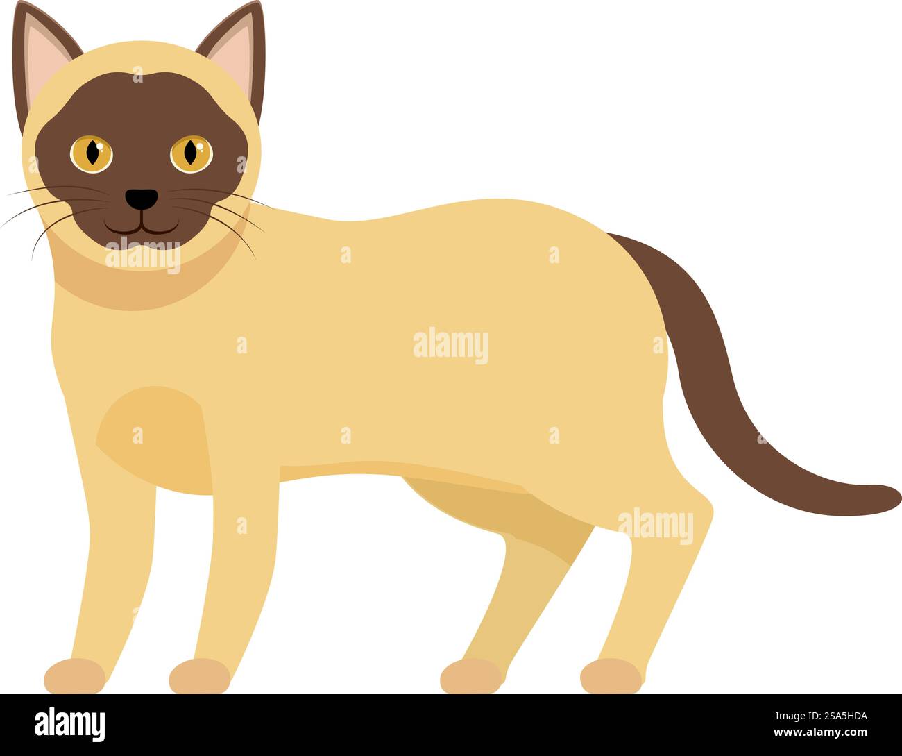 Siamese cat standing with brown tail and face illustration. Cartoon ...