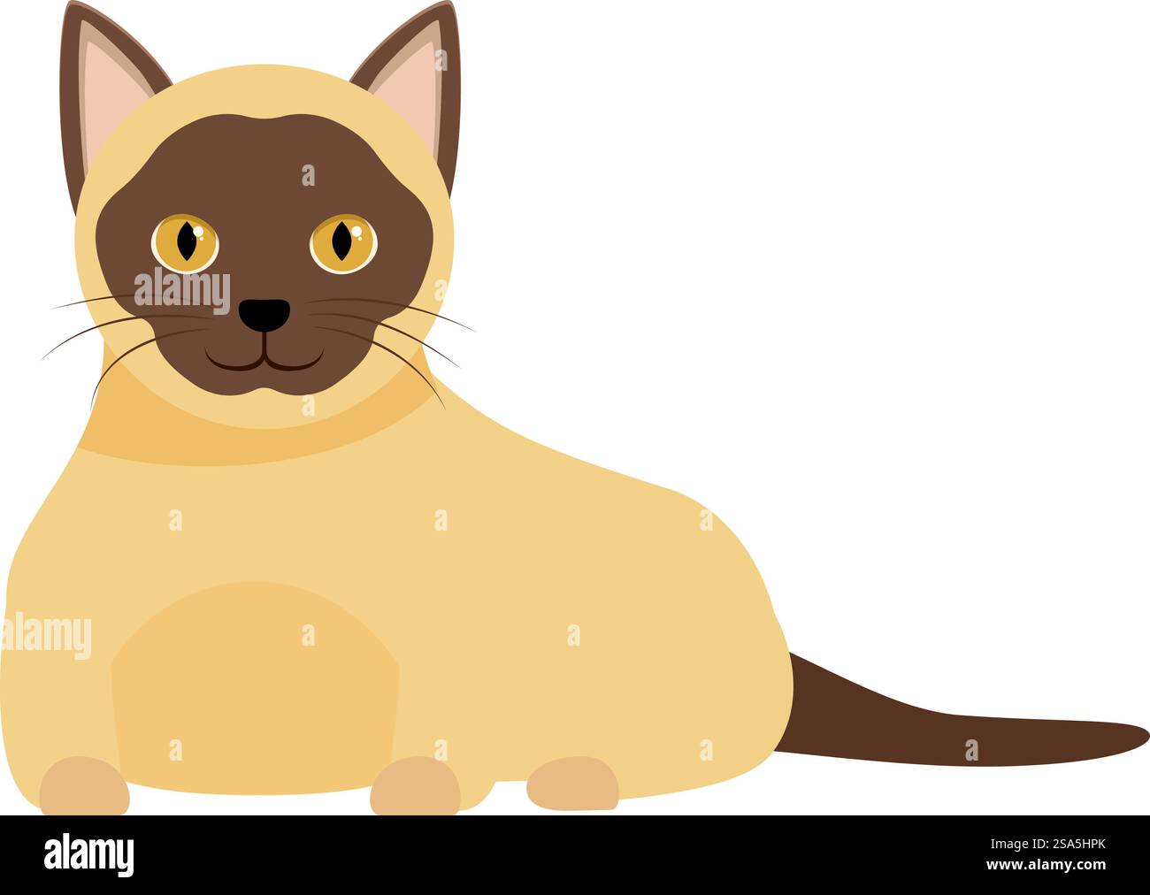 Burmese cat lying on Stock Vector Images - Alamy