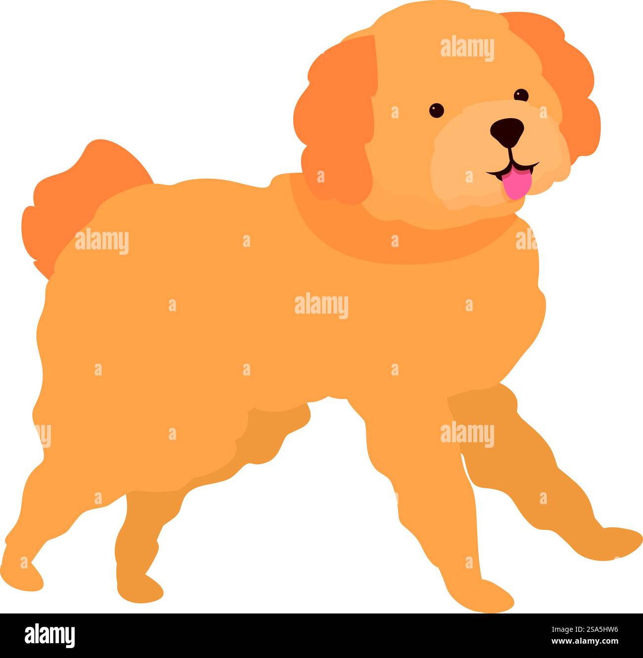 Happy golden doodle dog is out for a walk with its tongue hanging out ...