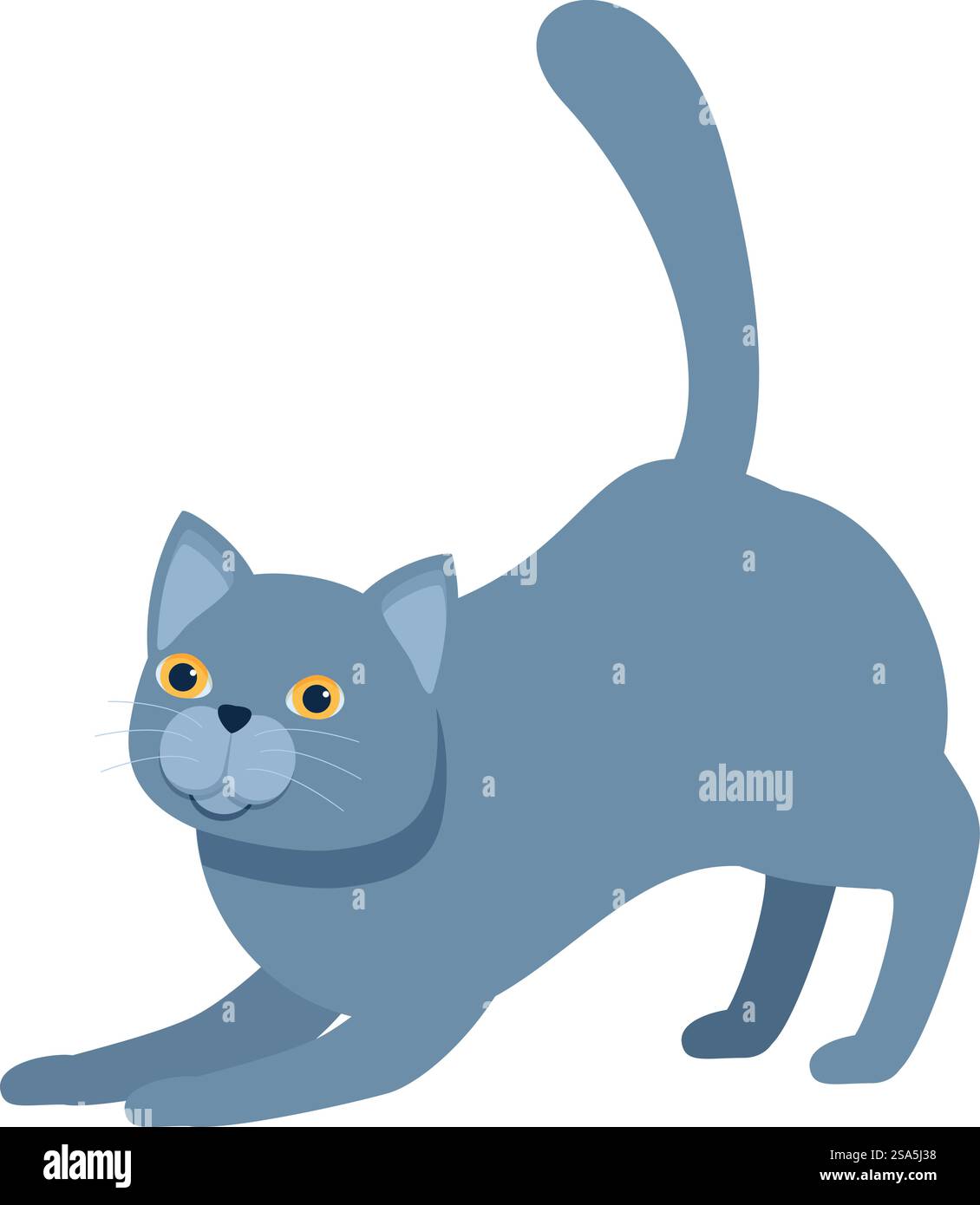 Playful grey cat stretching its body and getting ready to play. Playful ...