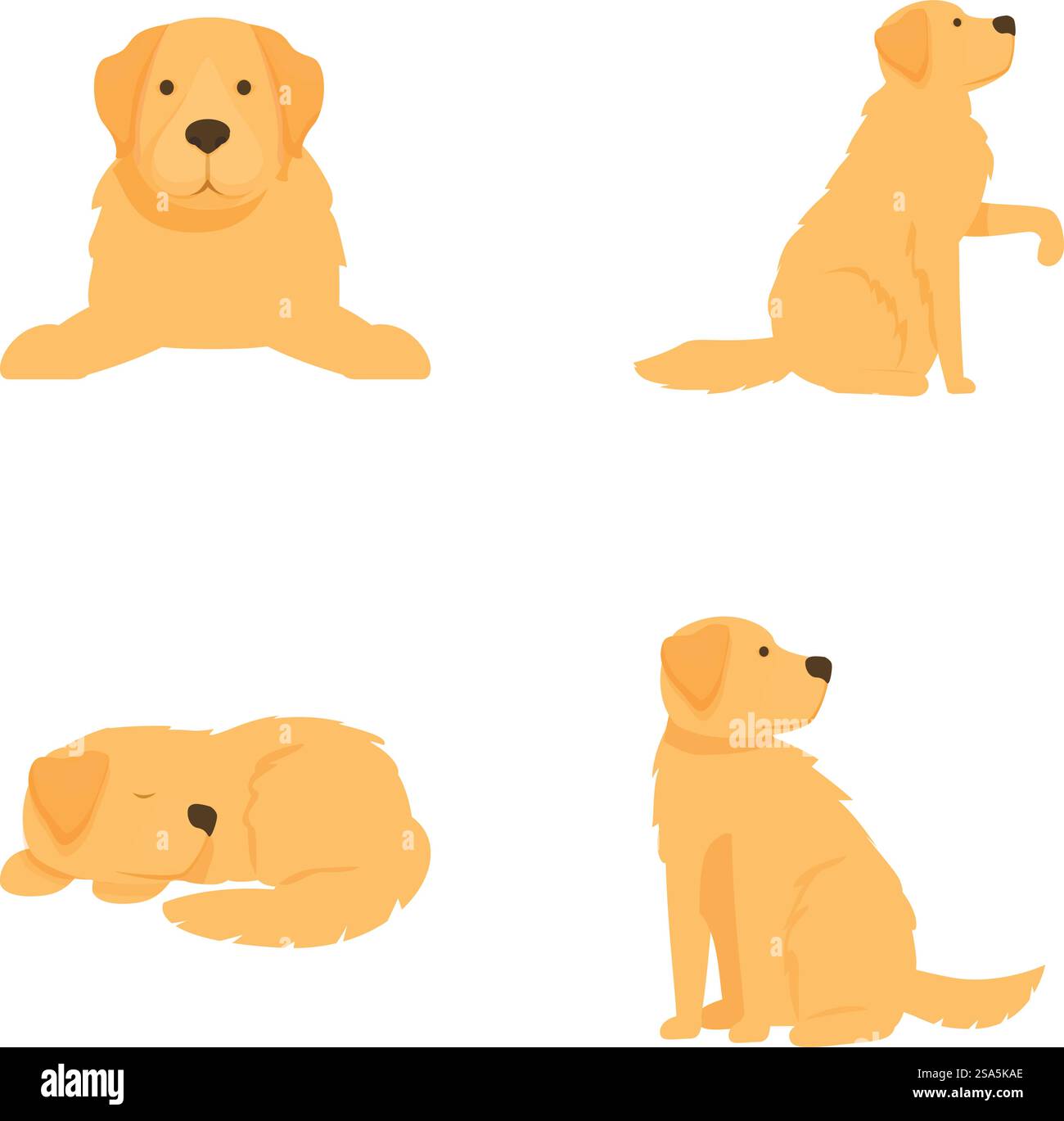 Vector illustrations of a friendly labrador in various cute poses ...