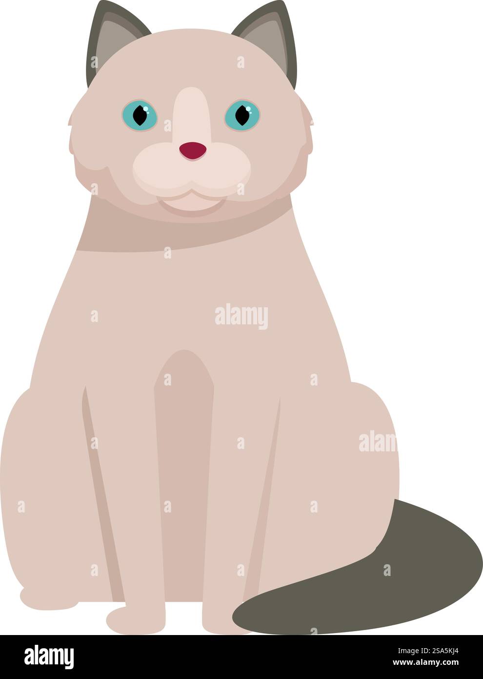 Adorable ragdoll cat sitting with its beautiful blue eyes. Cute ragdoll ...