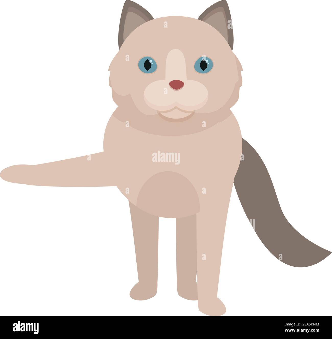 Cartoon ragdoll cat standing on four legs and raising one paw, isolated ...