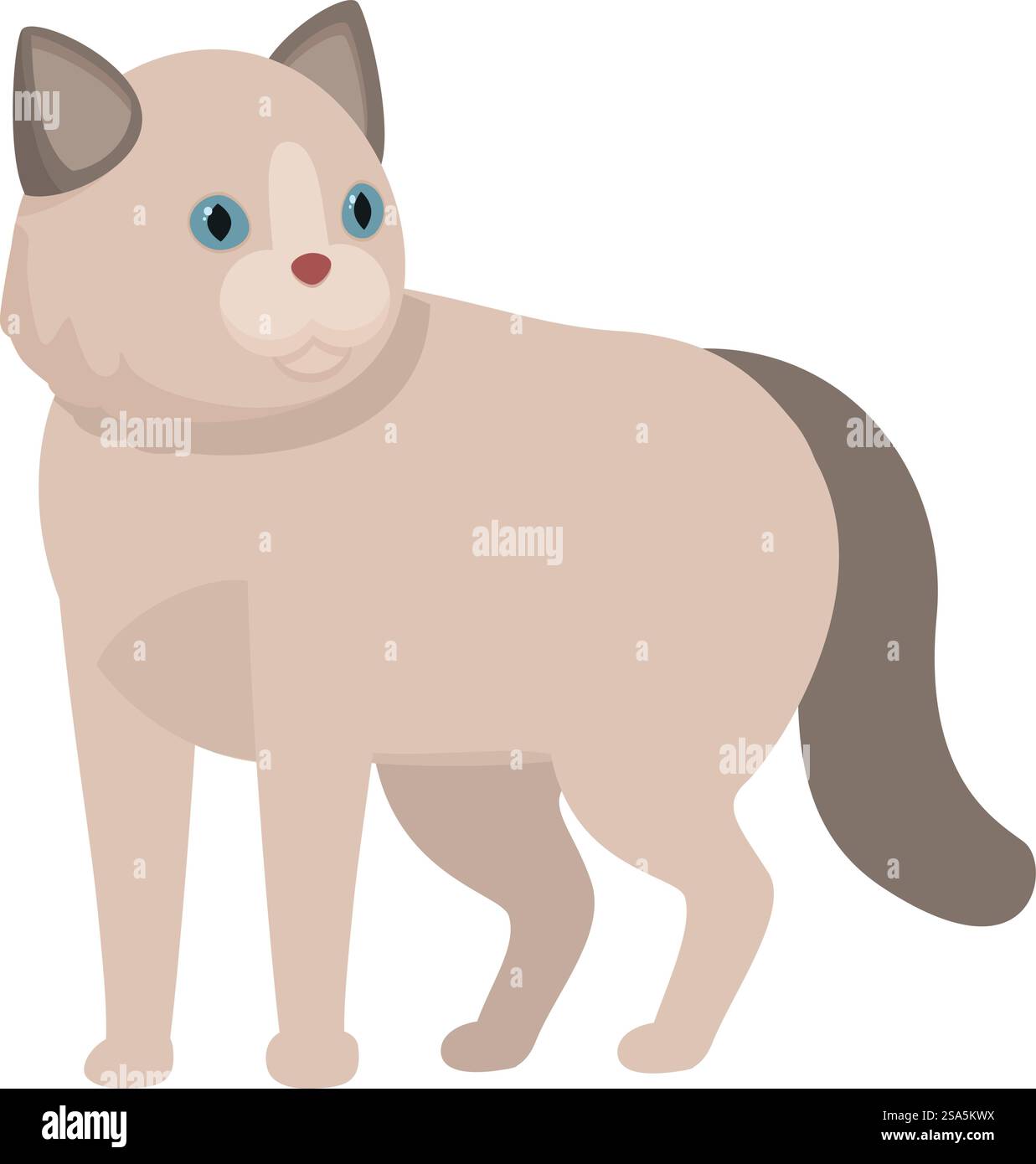 Cute cartoon ragdoll cat standing while curiously looking to the side ...