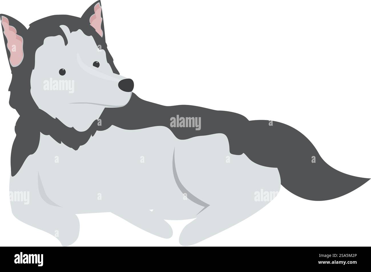 White siberian husky side view Stock Vector Images - Alamy