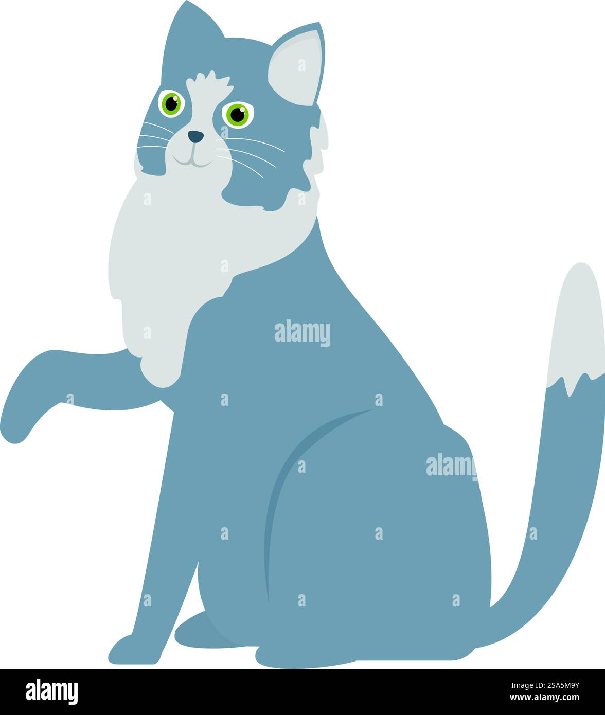 Blue tabby cat with white chest and tail tip raising paw in playful ...