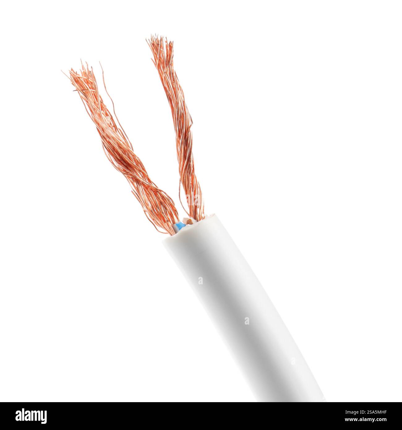 Stripped electrical wire with copper strands isolated on white Stock ...