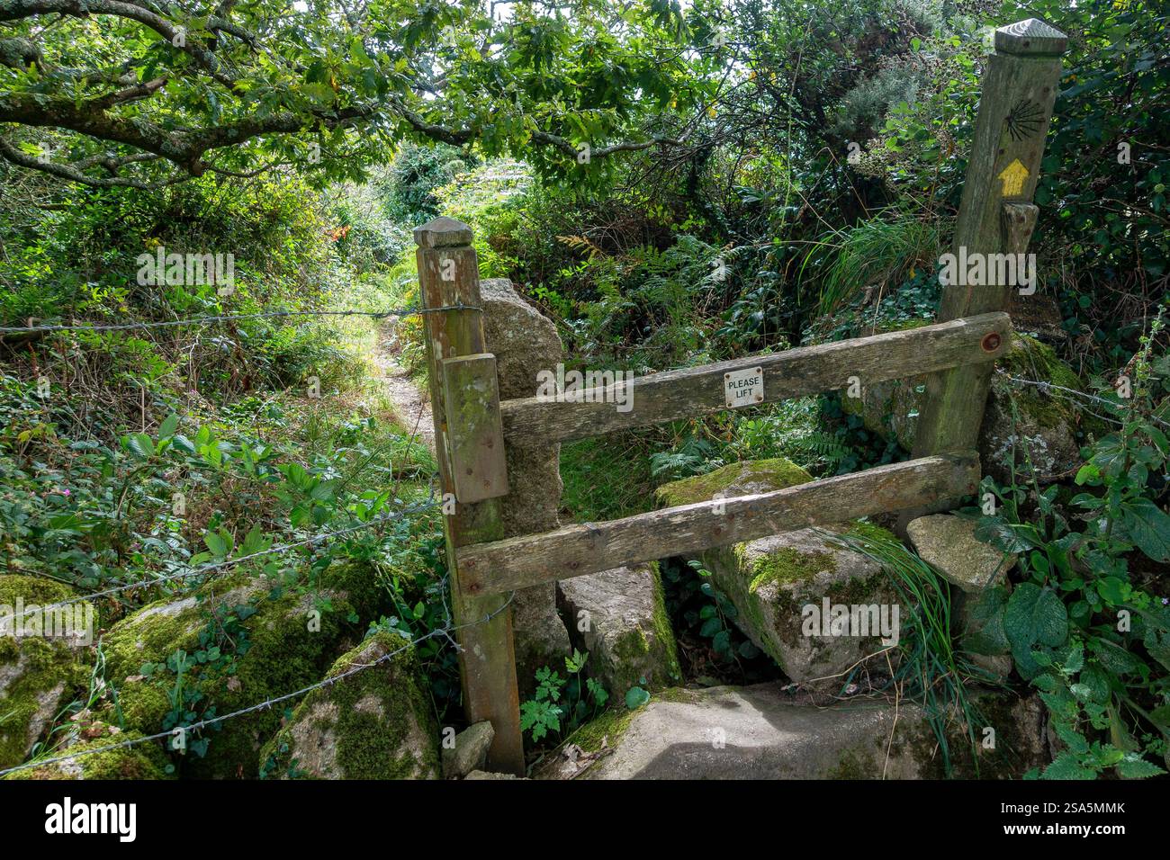 Sign with the traditional shell symbol marking St Michaels Way along ...