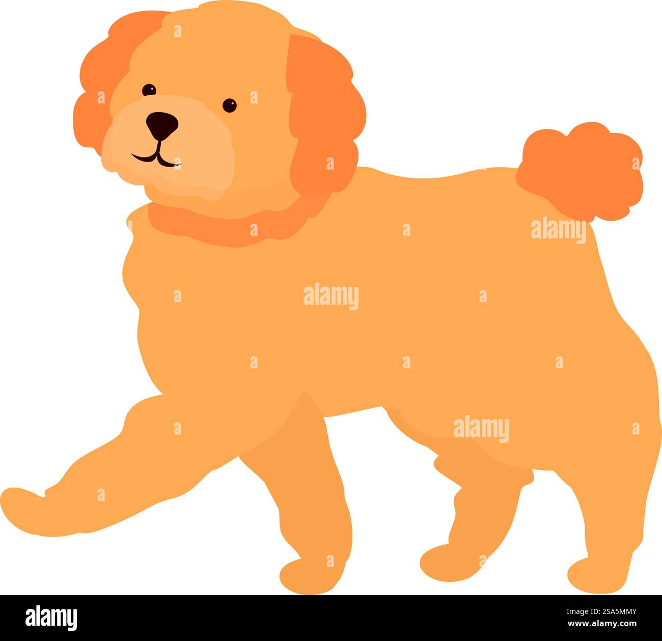 Golden doodle dog walking happily with a smile on a white background ...