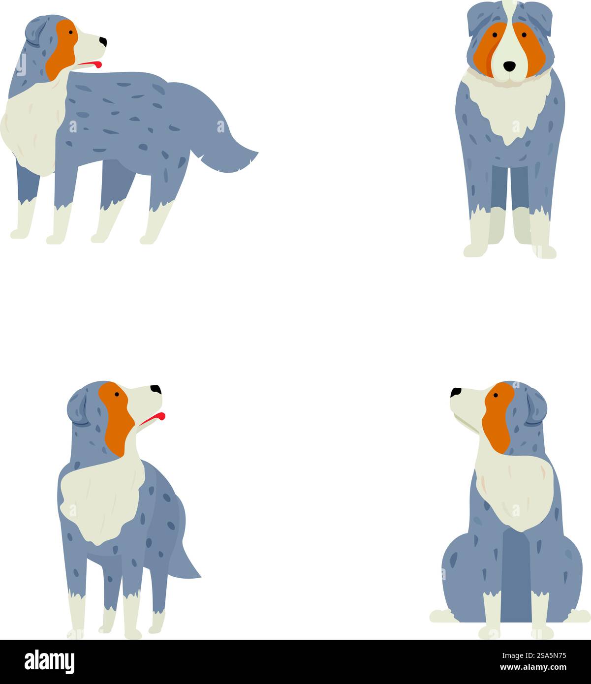 Collection of cute illustrated australian shepherd dogs in various ...