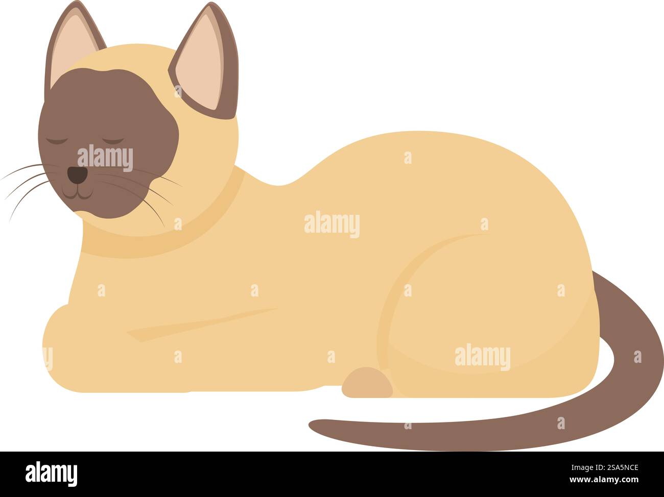 Siamese cat is lying down with its eyes closed, enjoying a moment of tranquility. Cute siamese ...