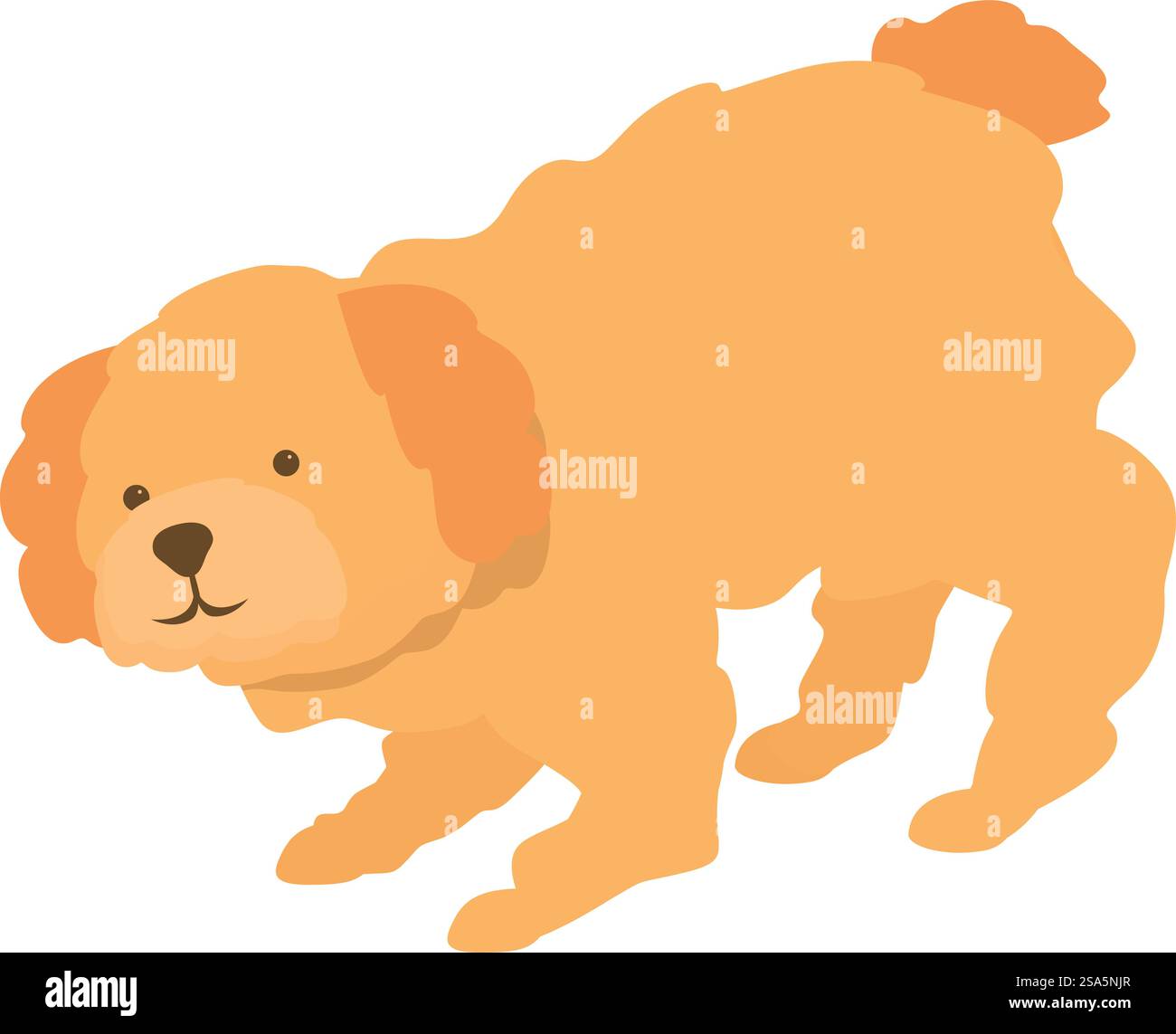 Cute golden dog standing and wagging its tail with a happy expression ...