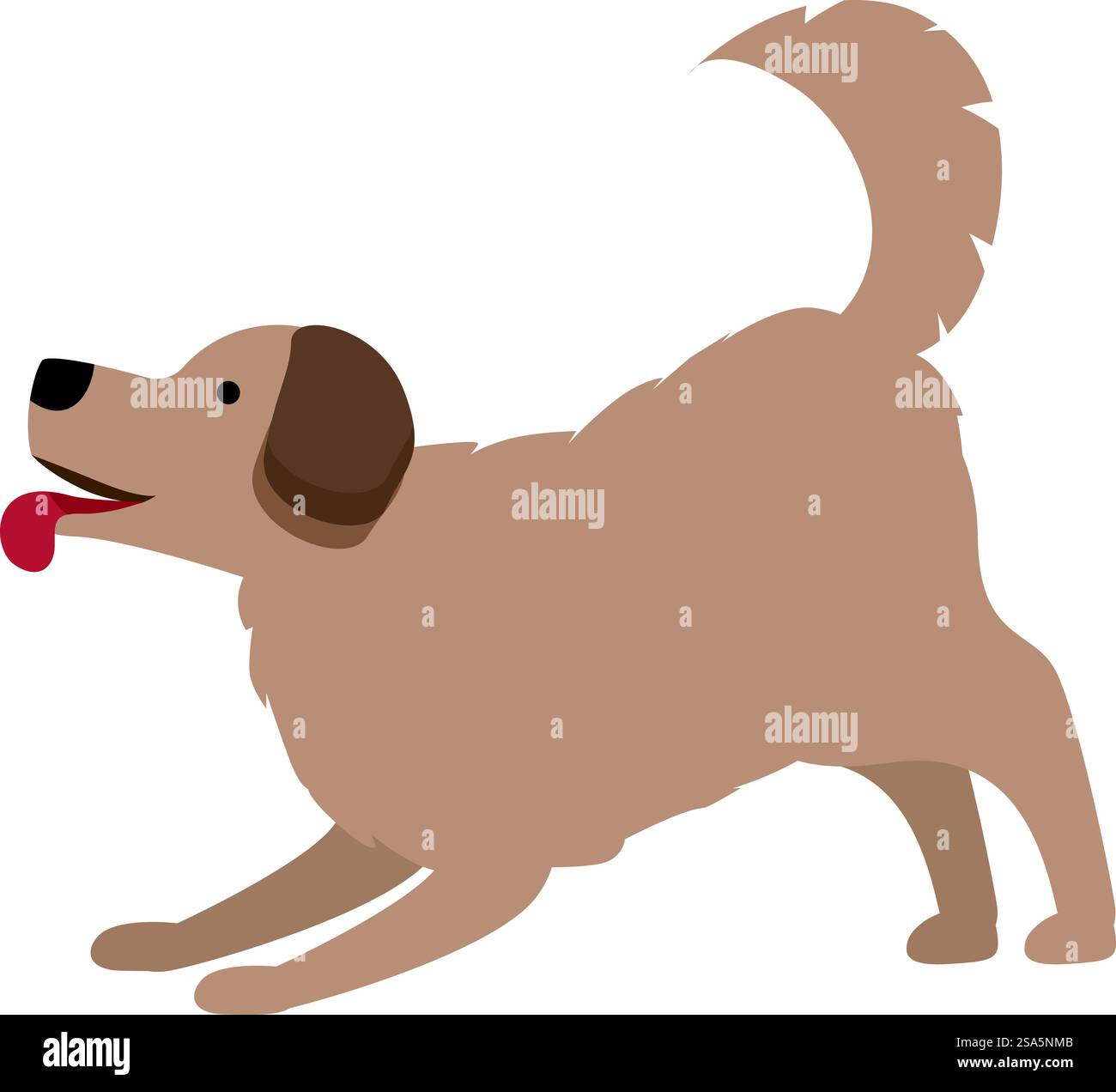 Playful dog stretching its body, wagging its tail and looking happy. Happy dog stretching its ...