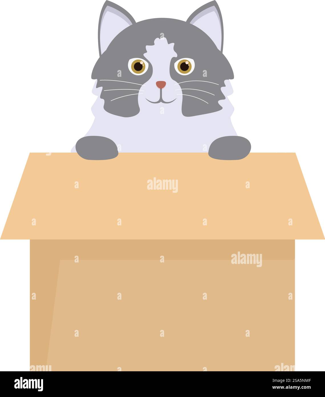 Cute cat is having fun playing inside a cardboard box. Playful cat ...