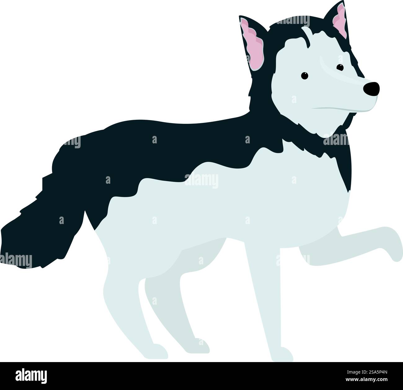 Illustration of a cute siberian husky dog standing in color. Cute ...