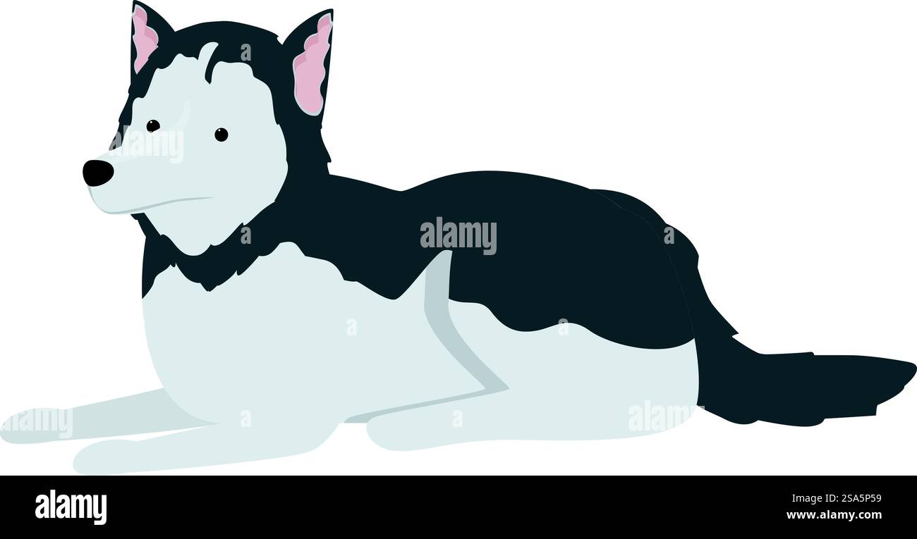 Siberian husky dog is lying down, enjoying a moment of rest. Siberian ...