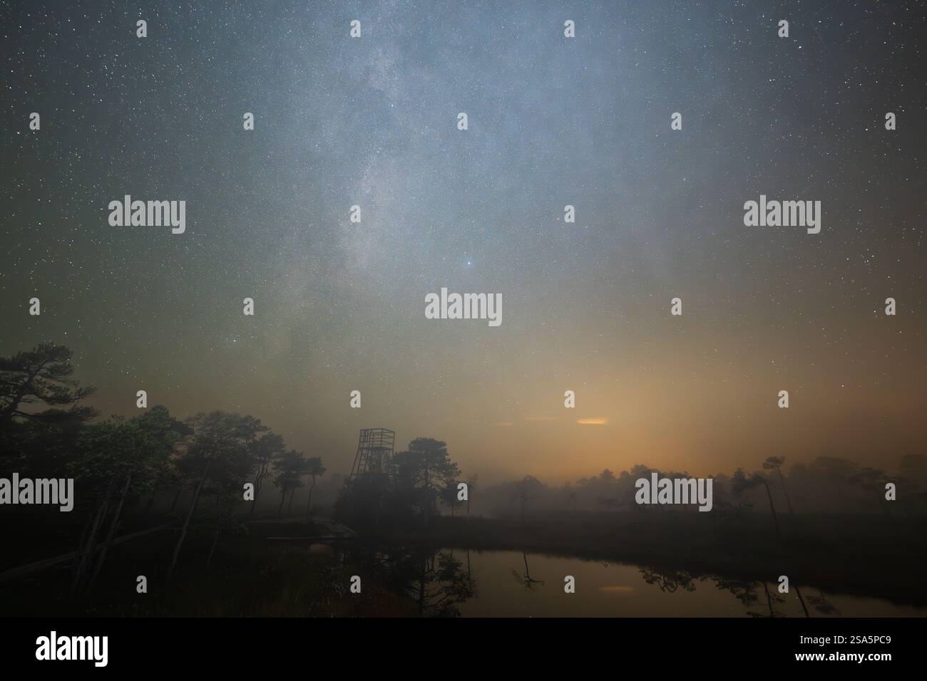 Night landscape: fog creeps over the Seli bog under the starry sky of ...