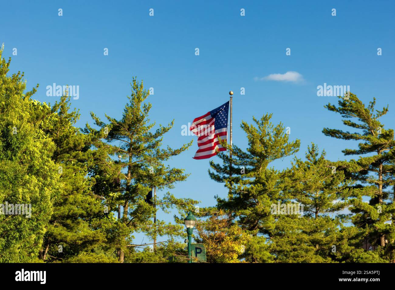 American flag flies above the trees at Founders Day Park in downtown ...