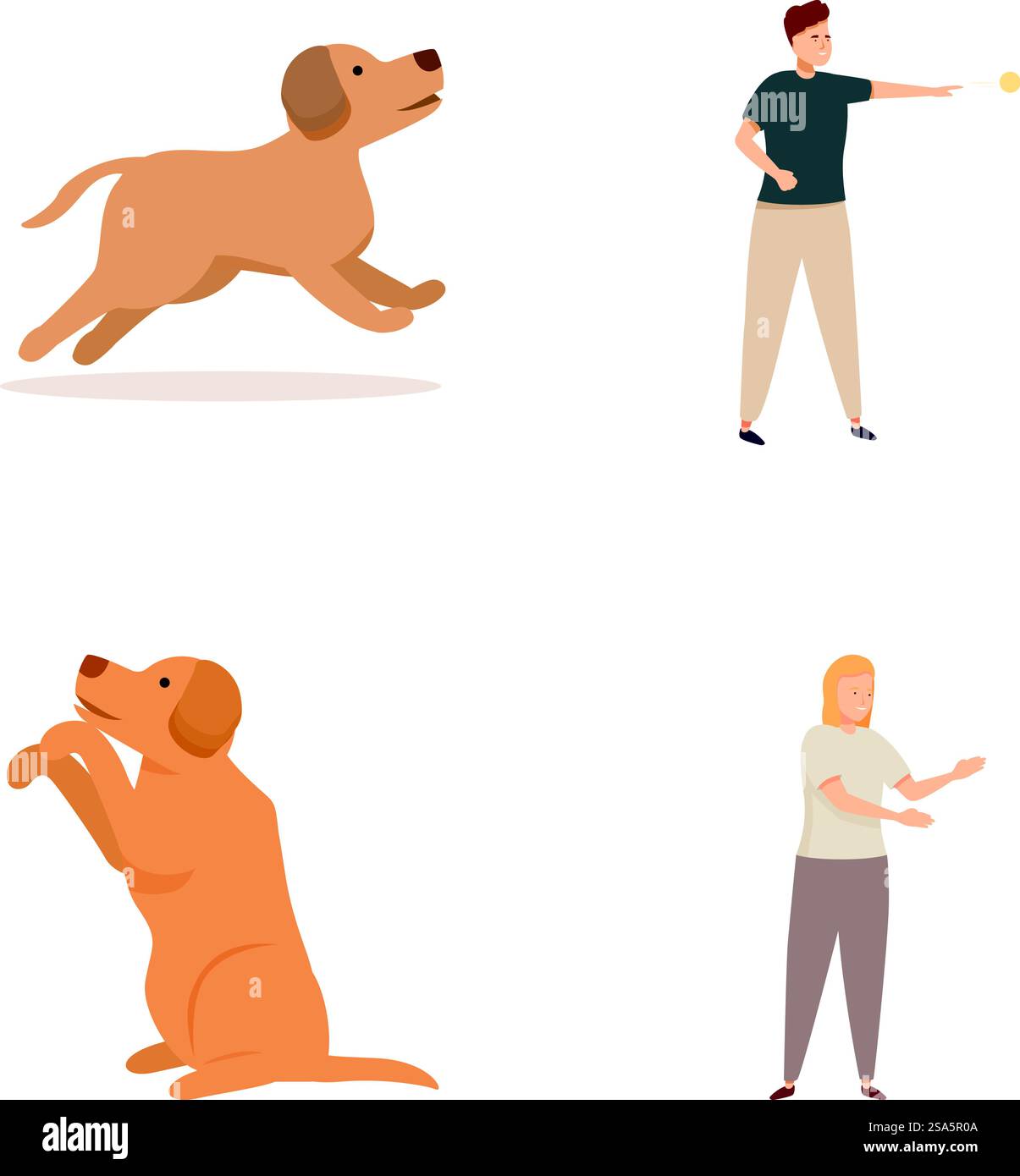 A collection of vector illustrations showing various dog training ...