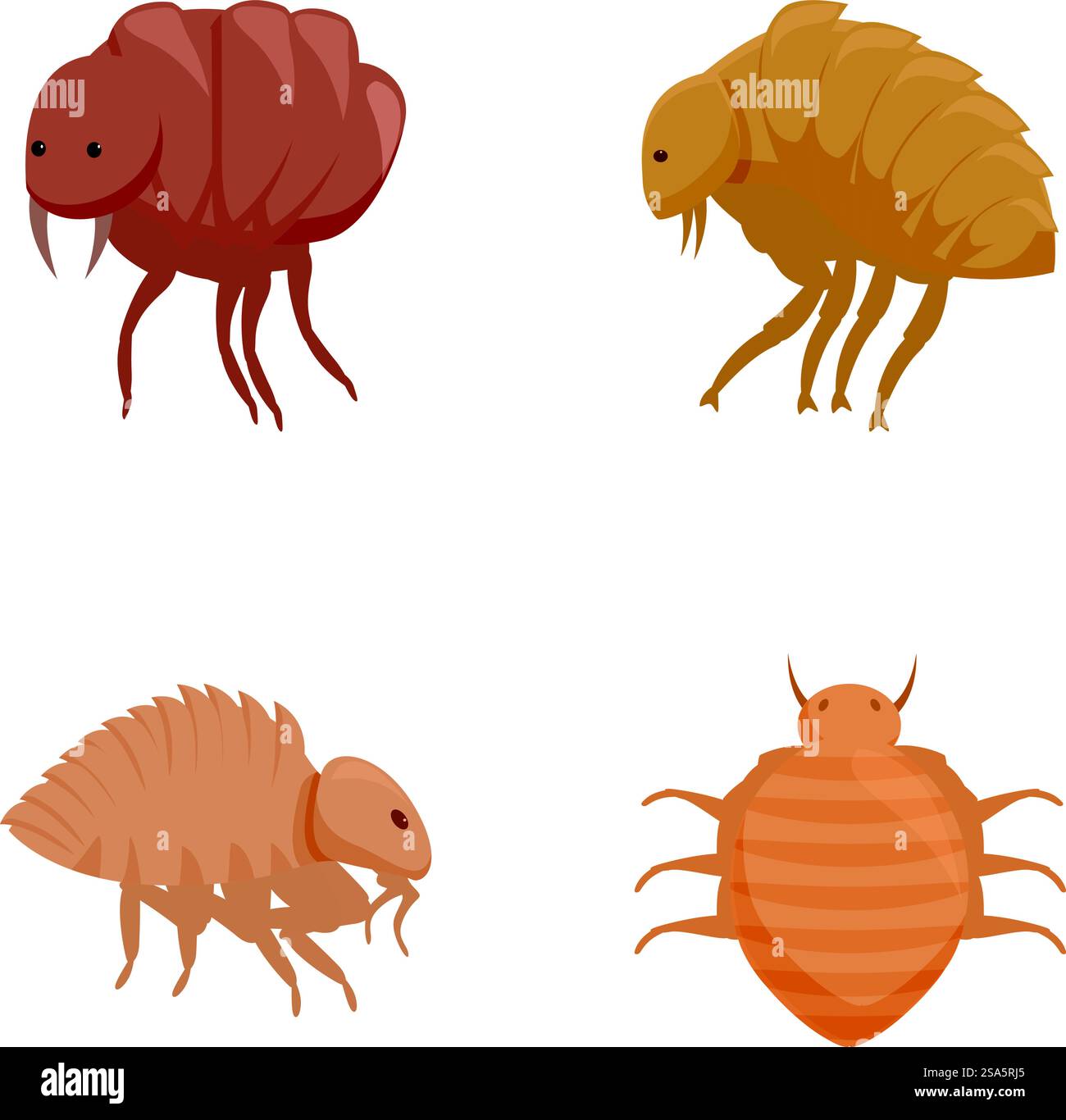 Collection of four bed bug cartoons in different poses, isolated on a ...