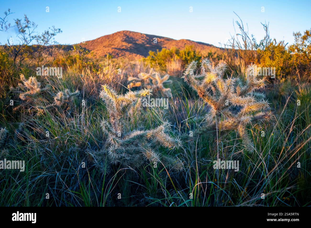 Lihue Calel National Park Sierra Landscape, La Pampa, Argentina Stock ...