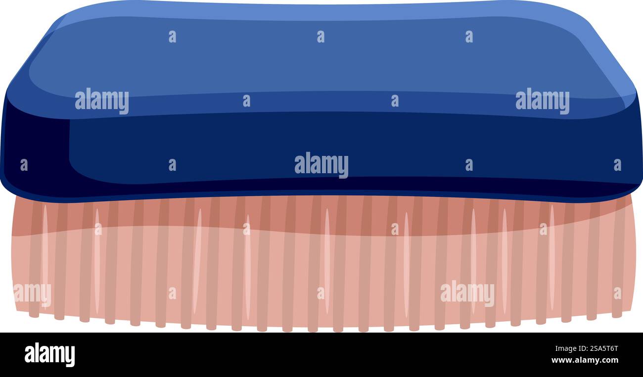 Cleaning brush scrubbing, with wooden handle and blue bristles, for ...