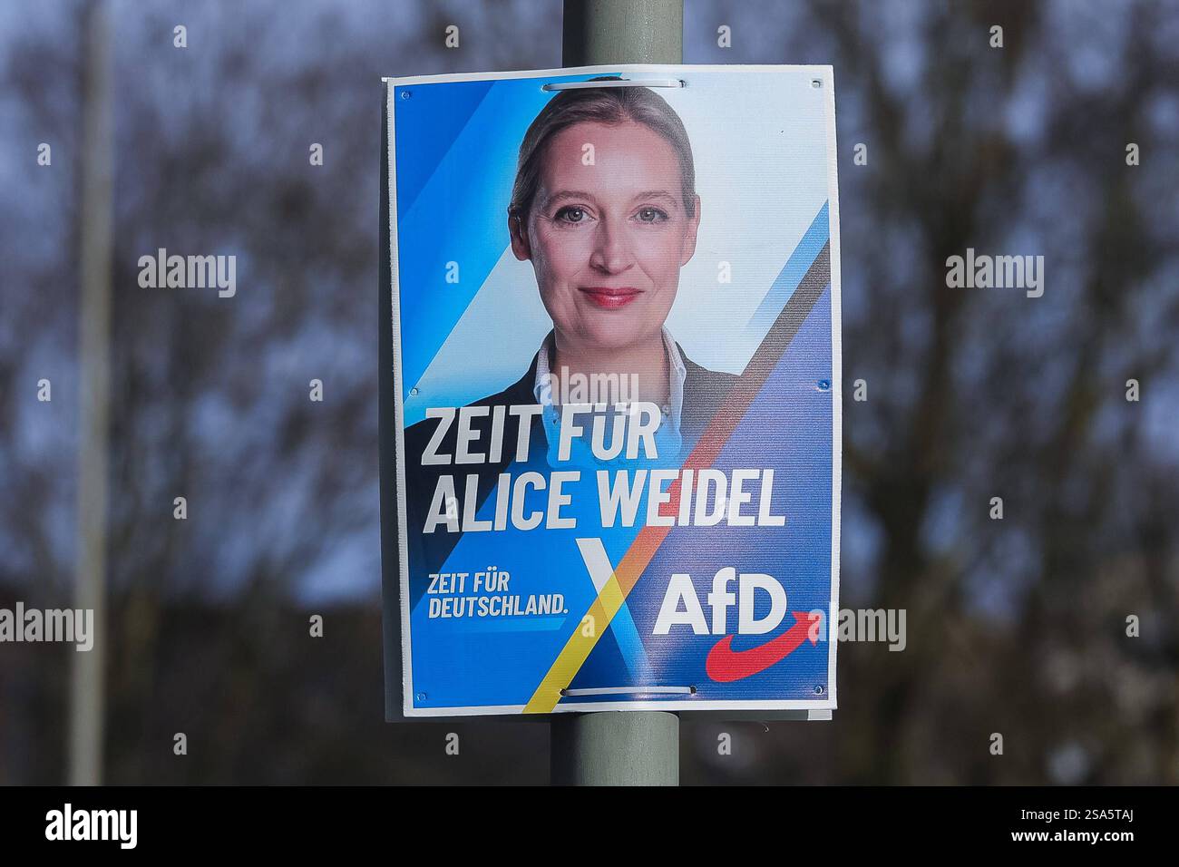 Wahlplakate - Bundestagswahl 2025 am 27.01.2025 in Herne Ein Wahlplakat der AfD Alternative für ...