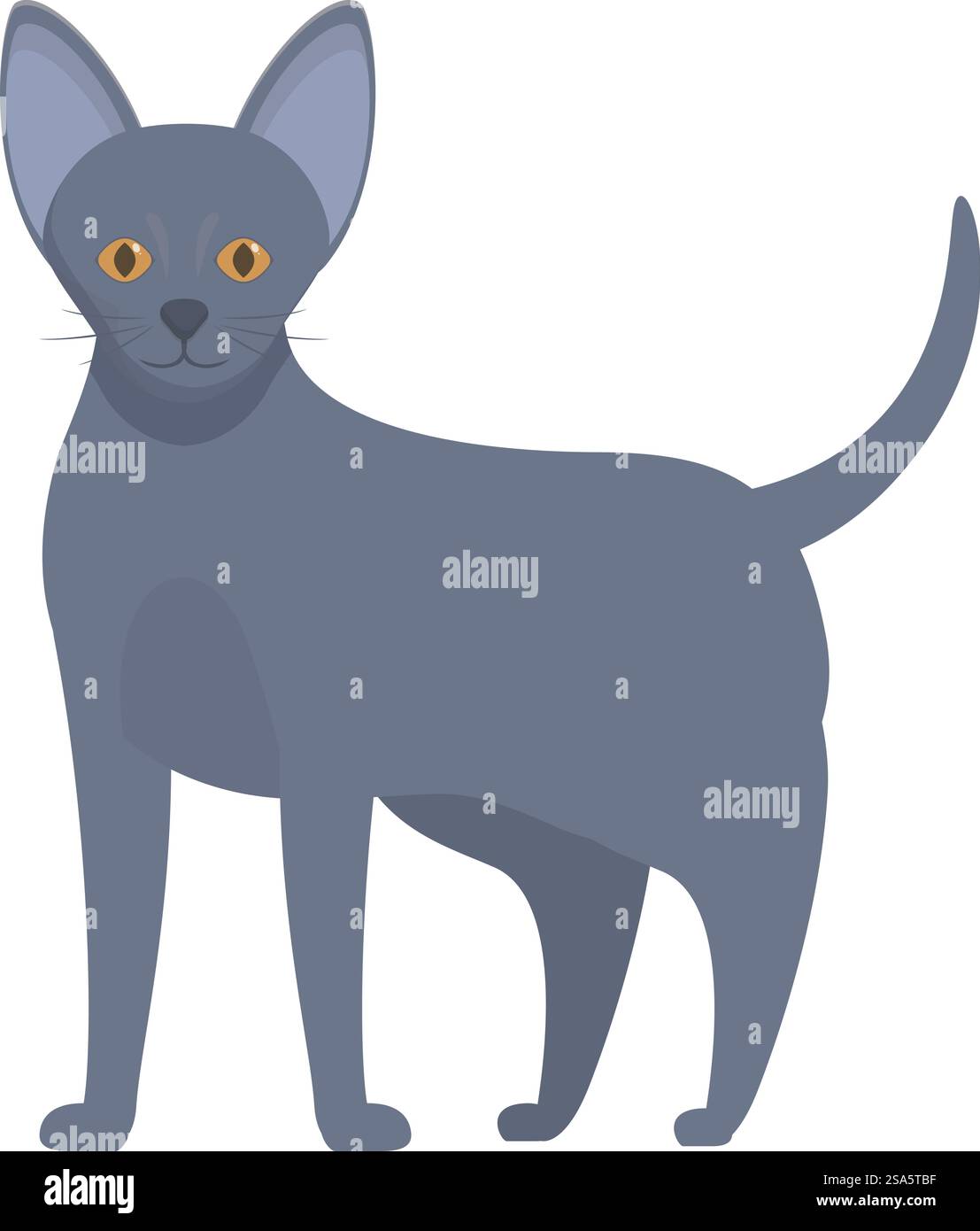 Illustration of a grey cat standing on a white background. Grey cat ...