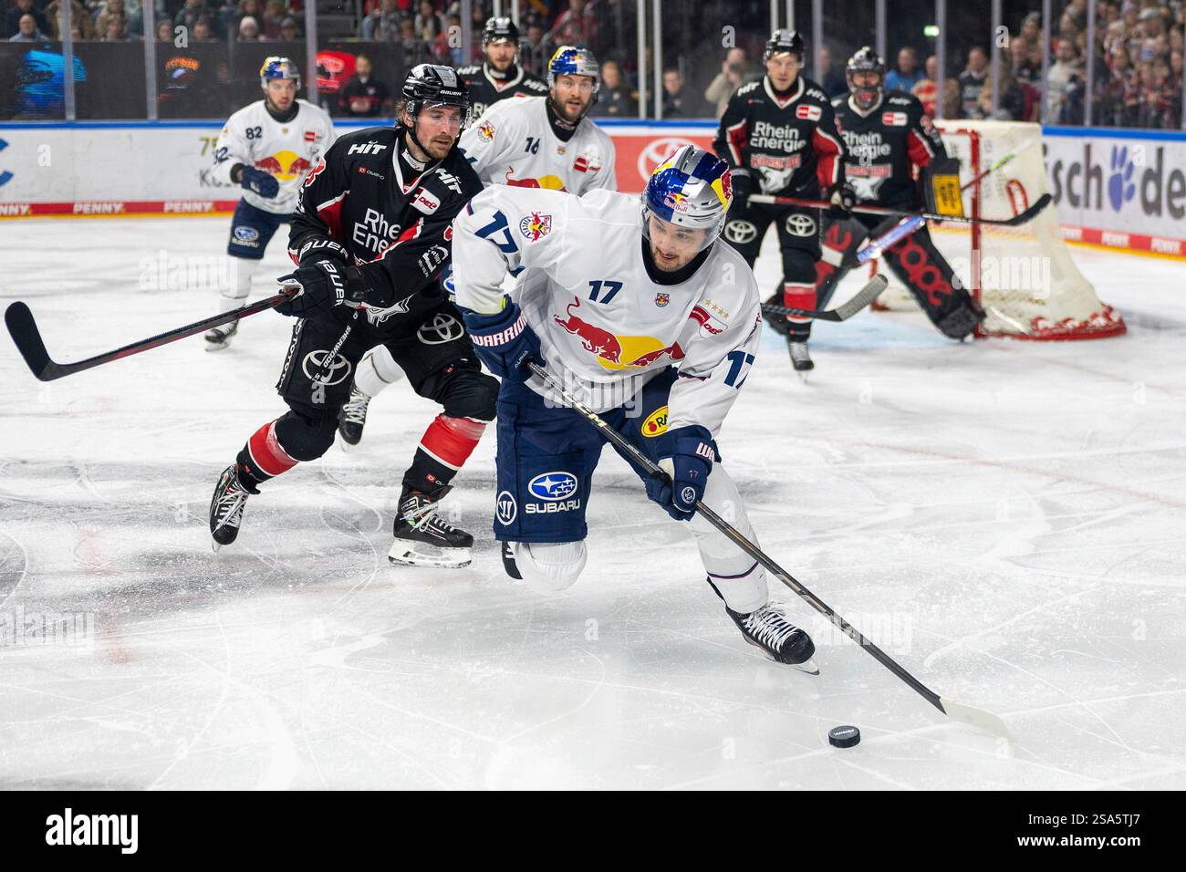 28.01.2025, Eishockey: Penny DEL, Saison 2024/2025, 41. Spieltag ...