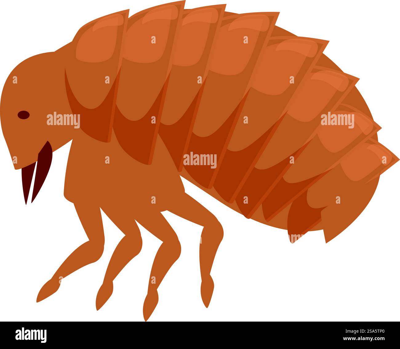 Flea insect walking and spreading disease through bite, annoying bug ...