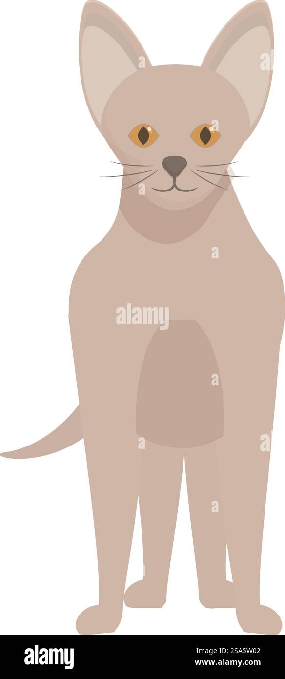 Cute abyssinian cat standing, a graphic illustration of a domestic ...