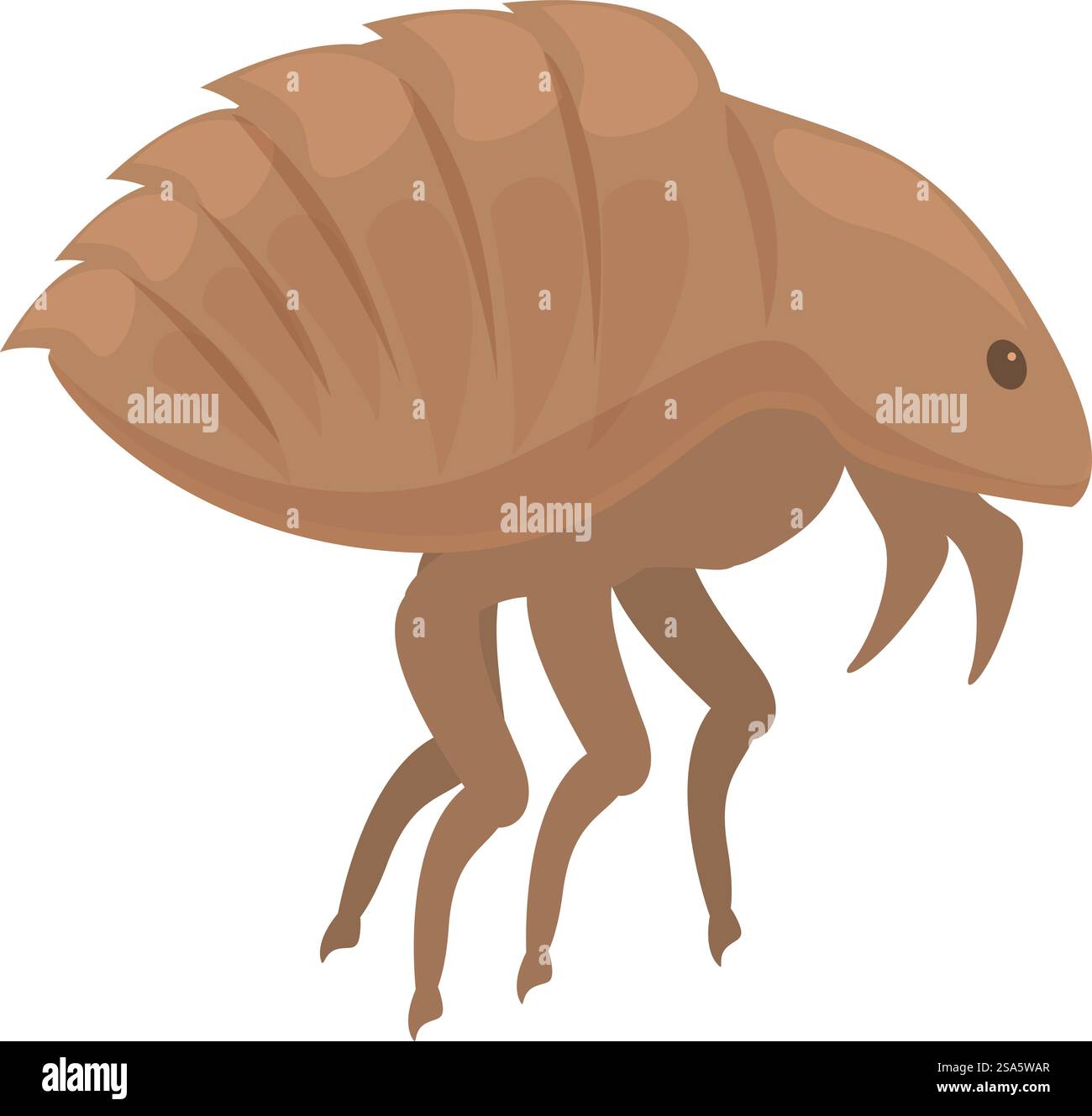 Flea bug walking with big legs and tiny eyes Stock Vector Image & Art ...