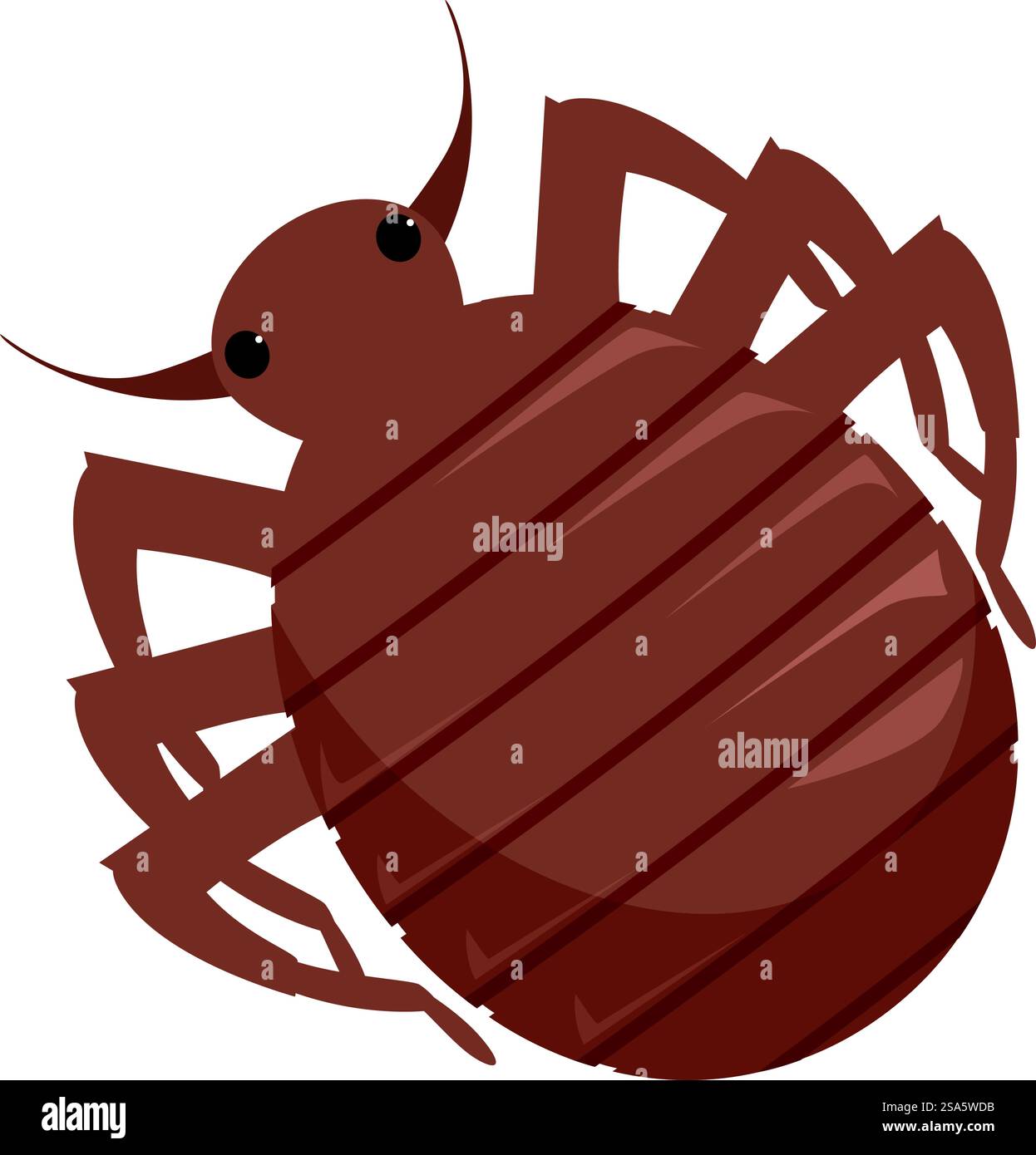 Brown bed bug insect cartoon illustration spreading its legs on white ...