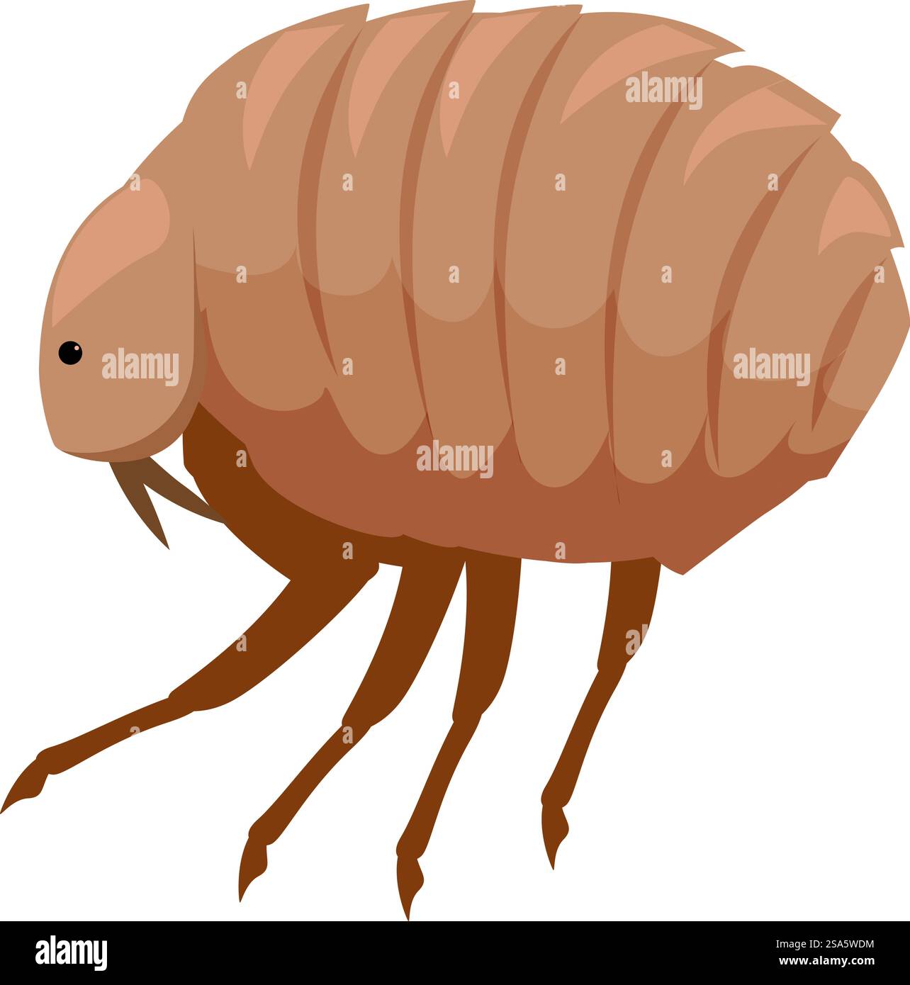 Flea insect walking with six legs cartoon style illustration. Flea ...