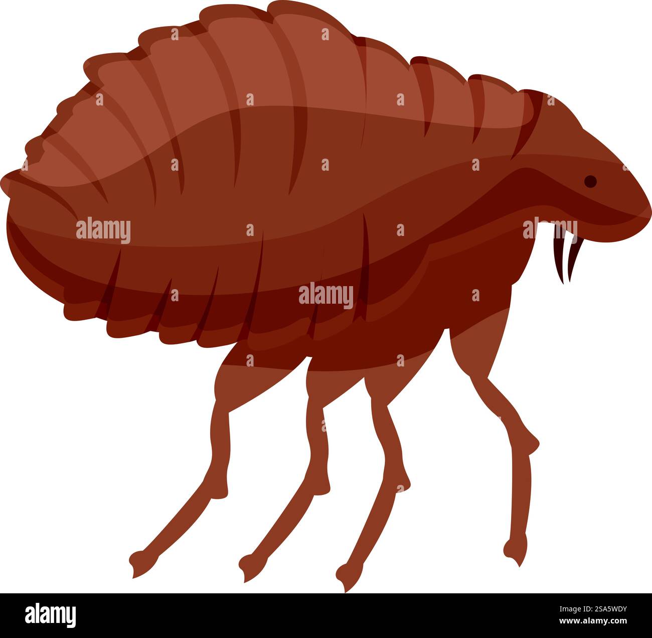 Flea walking side view showing its tiny hairs, icon illustration ...