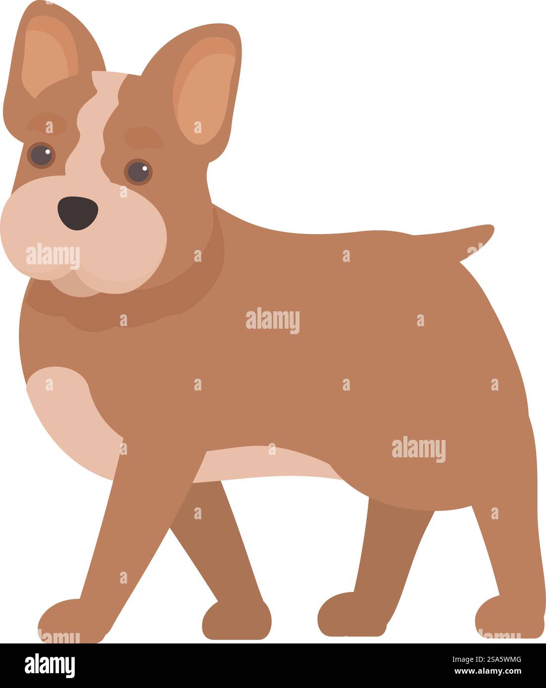 Illustration of a brown french bulldog walking on a white background ...