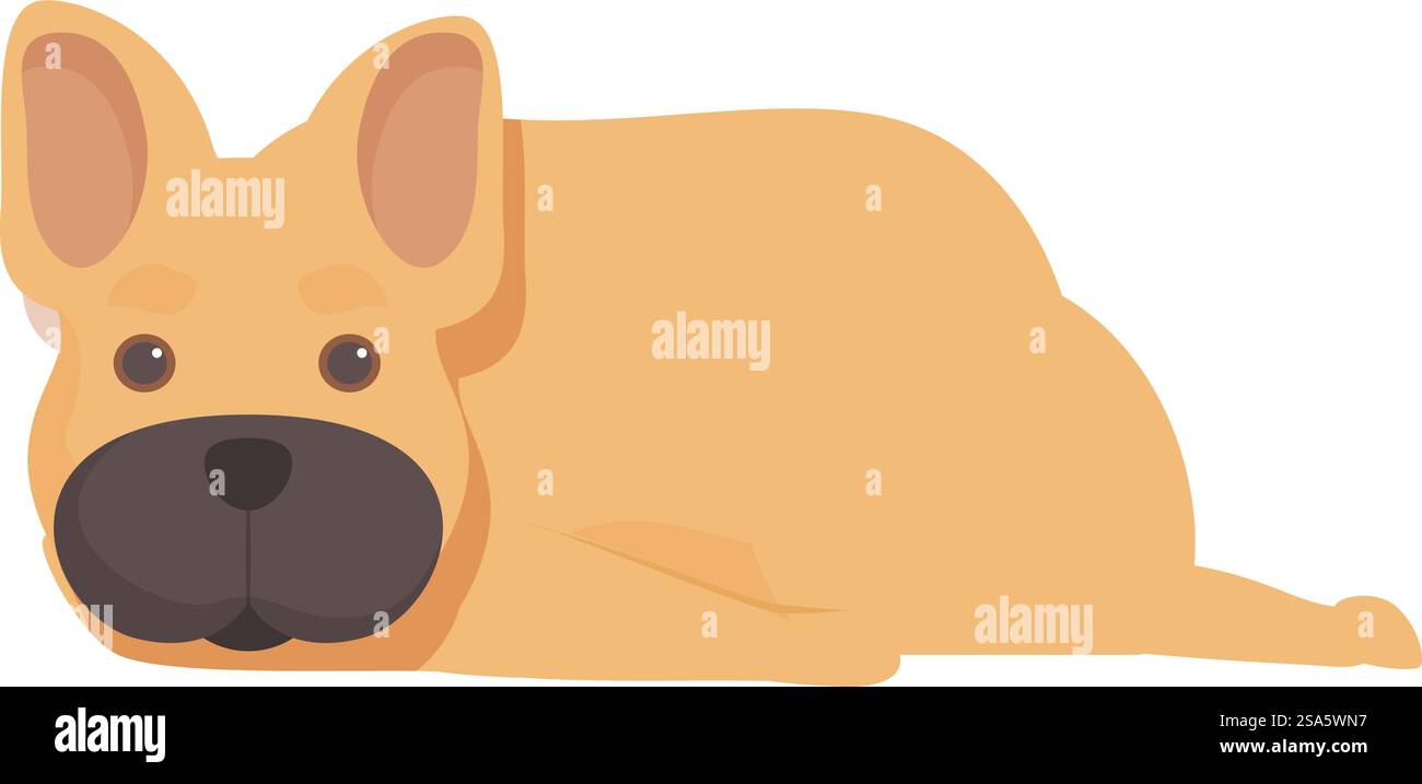 Adorable fawn colored french bulldog laying down and relaxing after a ...
