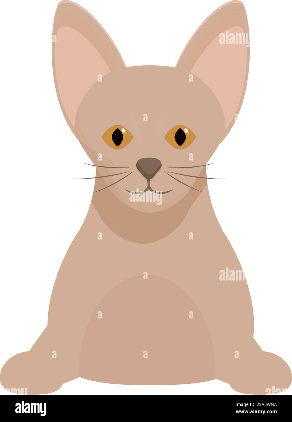 Adorable abyssinian cat with its distinctive ticked coat, sitting and ...