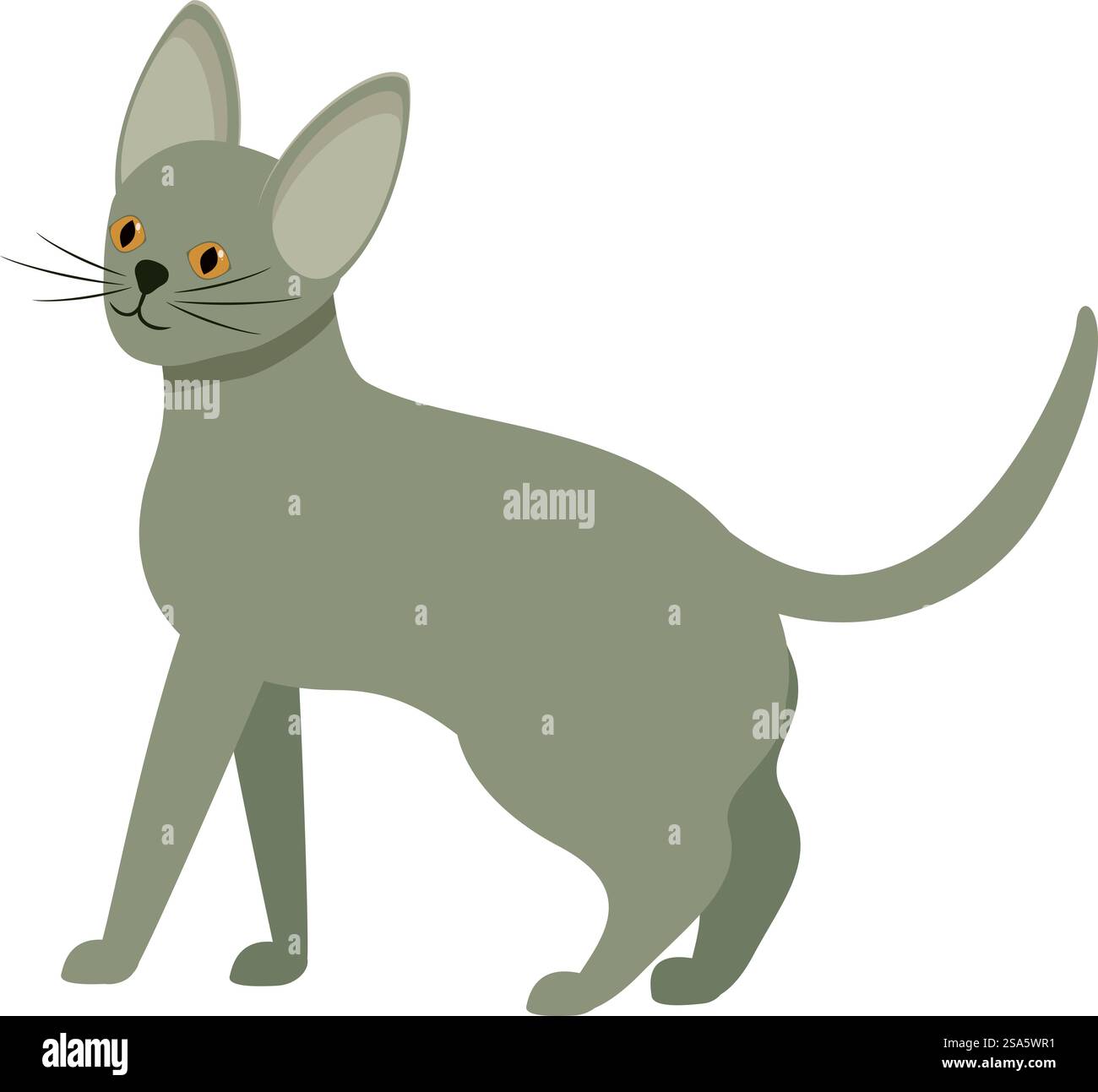 Illustration of a grey cat standing alertly, isolated on a white ...
