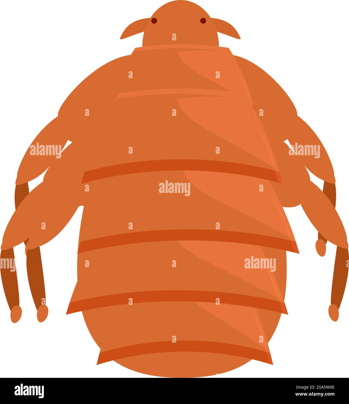 Louse is crawling, these insects are known for spreading infections ...