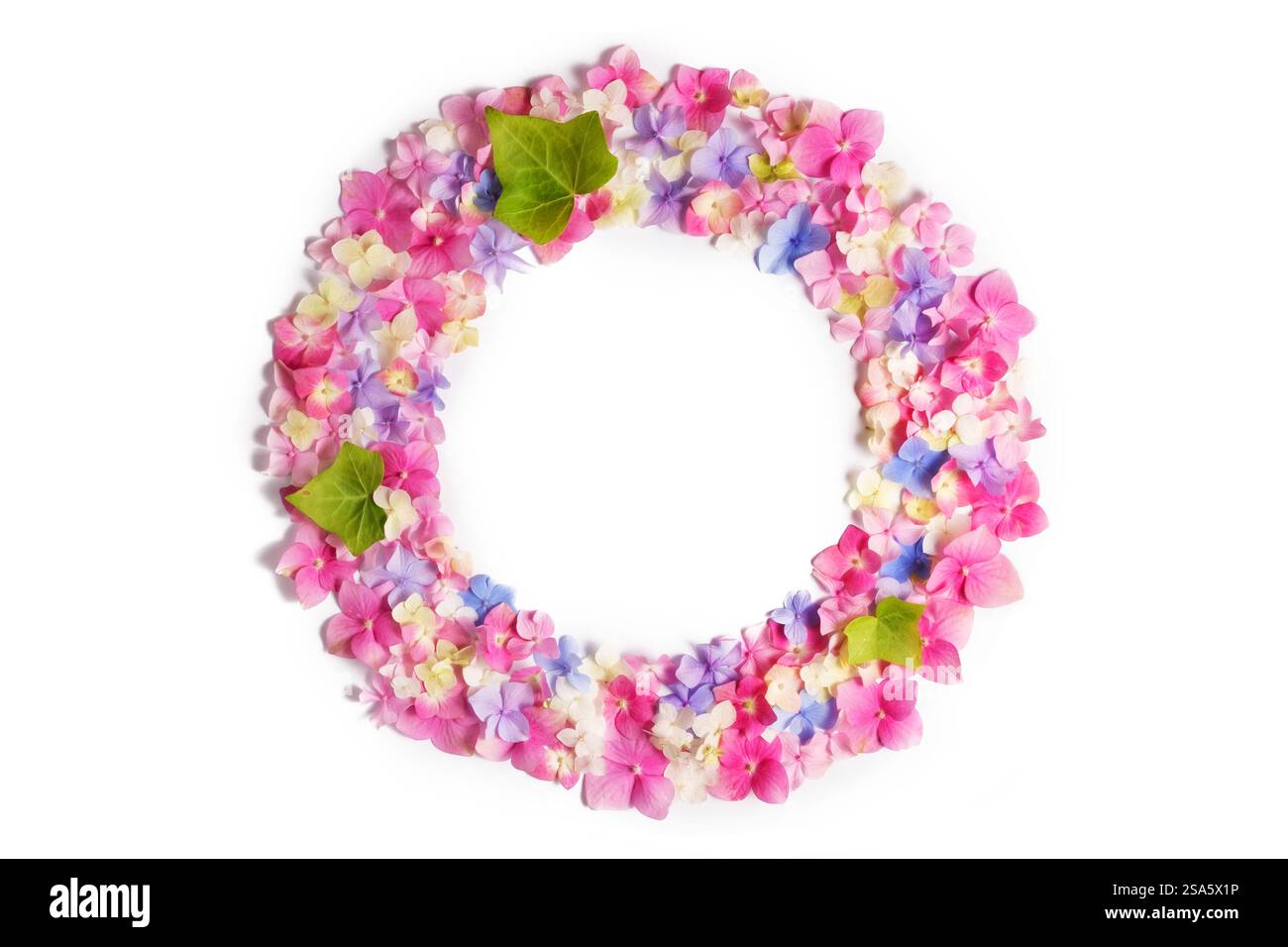 Round circle frame made of small multi-colored hydrangea flowers ...
