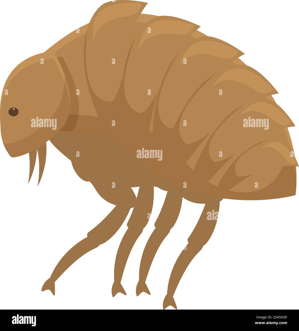 Brown flea is walking in this side view illustration. Brown flea insect ...