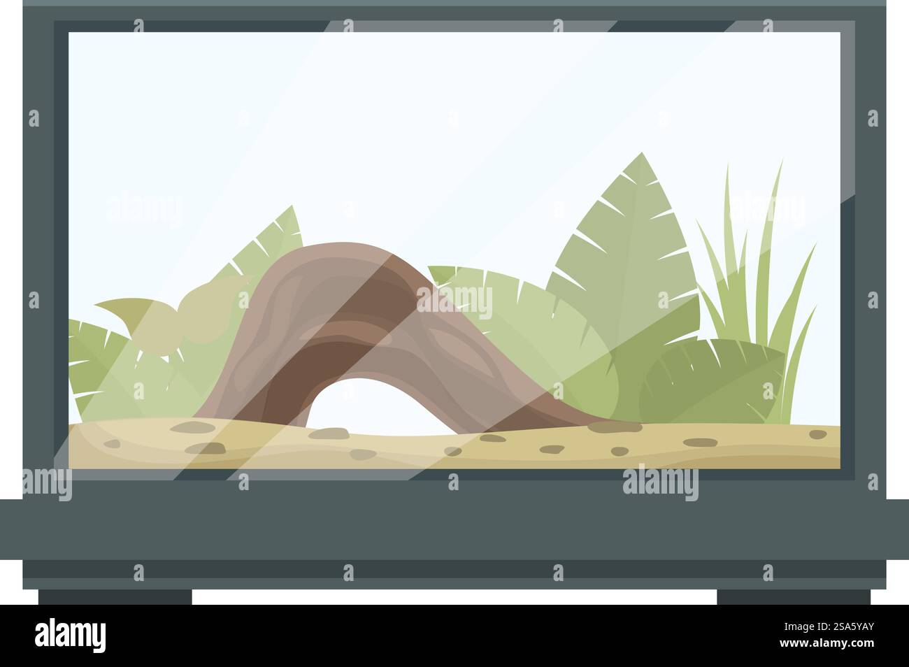 Empty glass terrarium with substrate and decorative plants waiting for ...