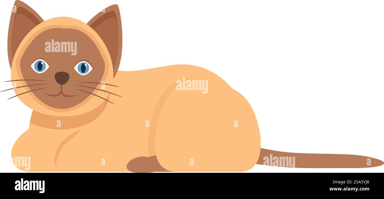 Cute siamese cat is lying down, its striking blue eyes captivating the viewer. Cute siamese cat ...