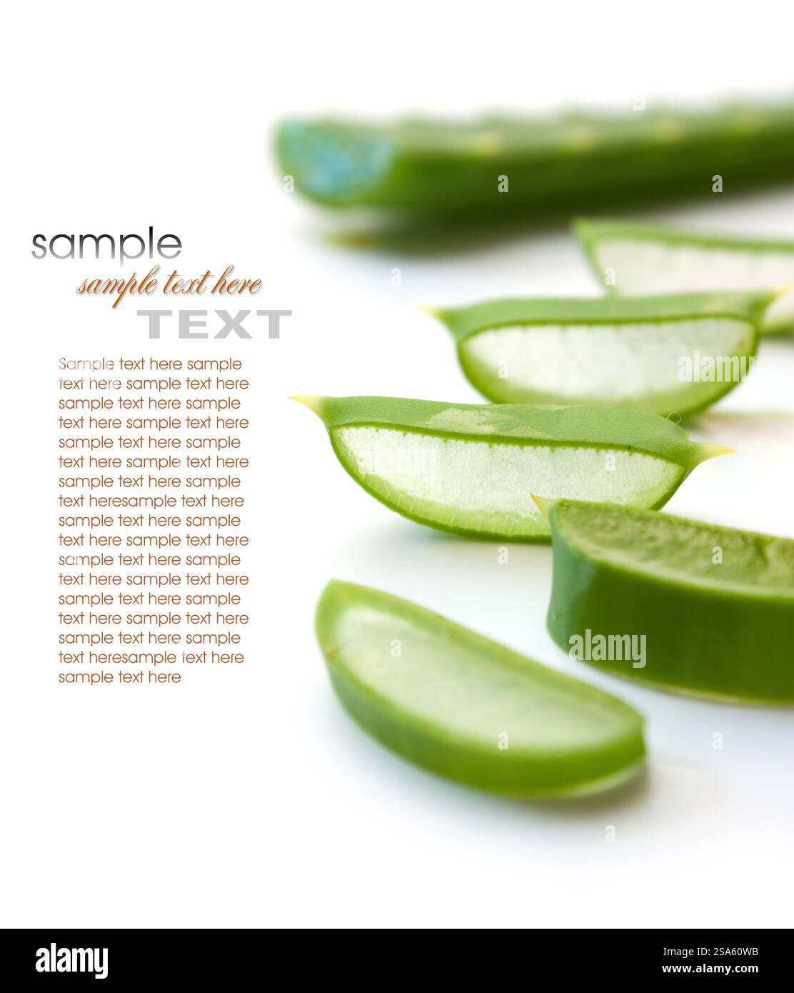 cut aloe leaves isolated on white background Stock Photo - Alamy