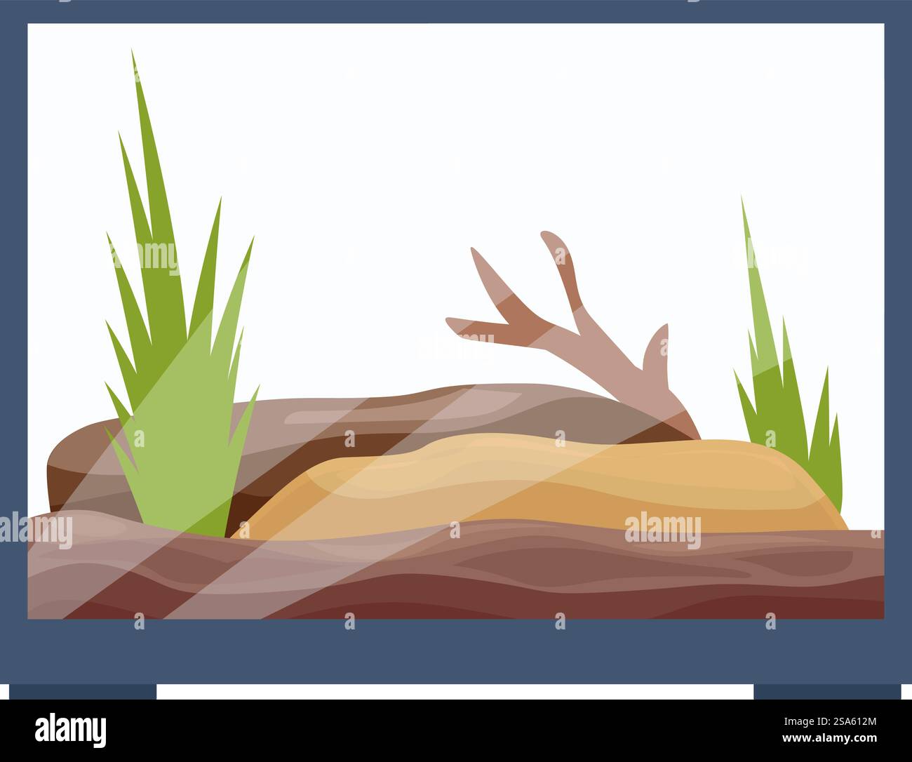 Empty terrarium with sand, a snag and plants is waiting for its new ...