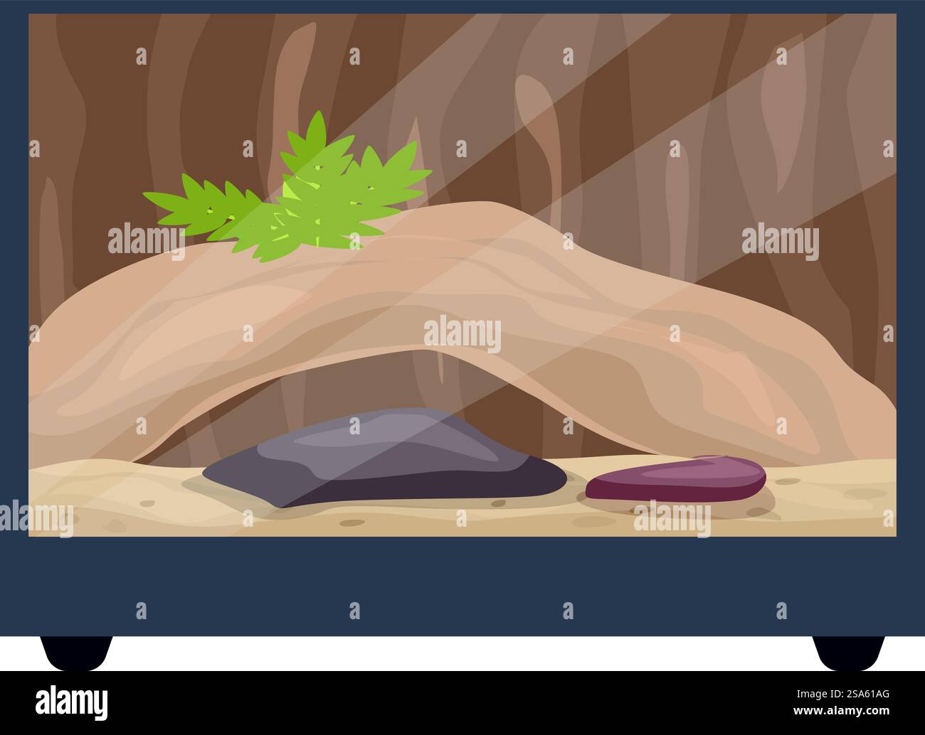 Empty terrarium is waiting to be filled with sand hi-res stock ...