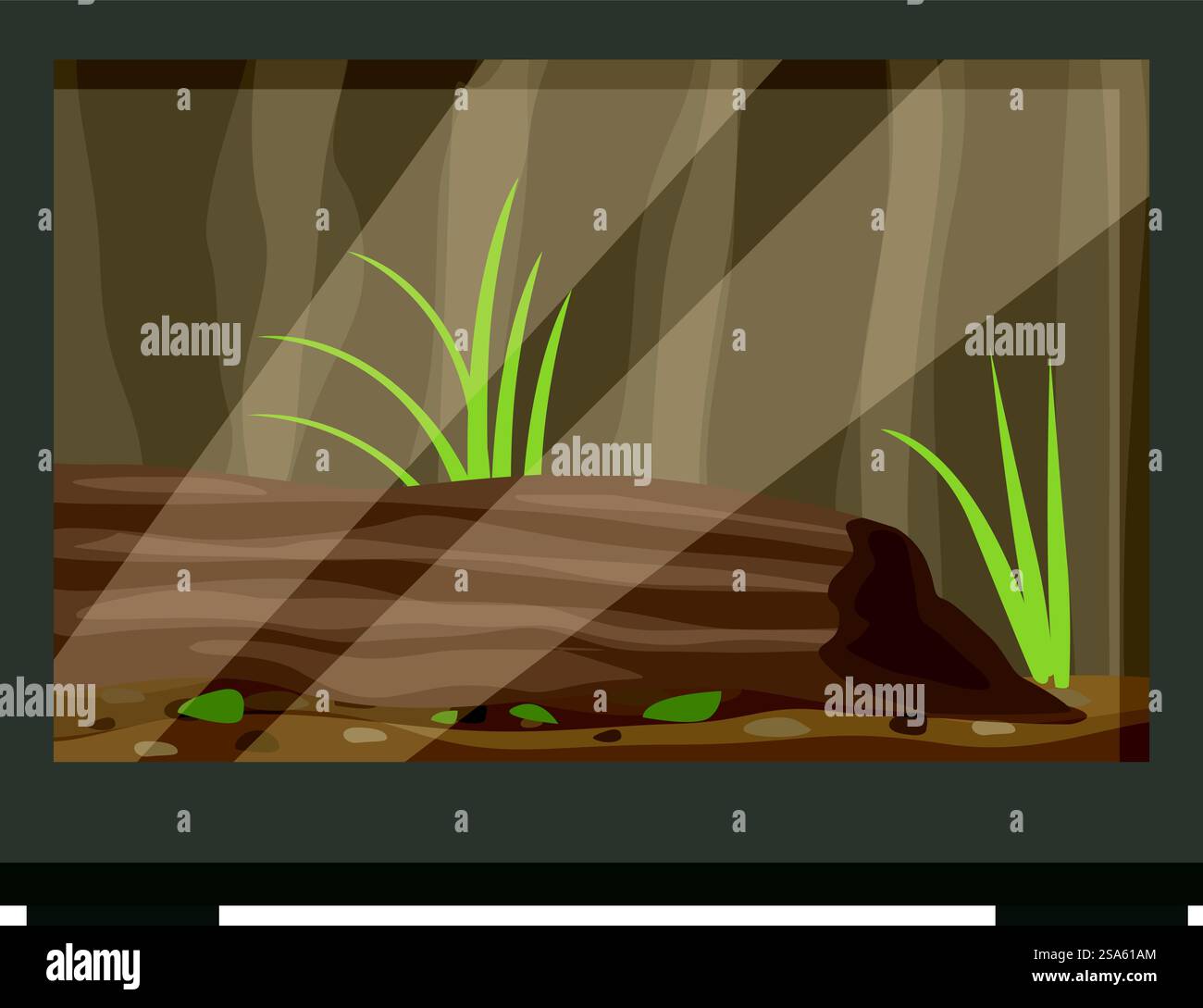 Terrarium with substrate, wooden log, and grass growing inside ...