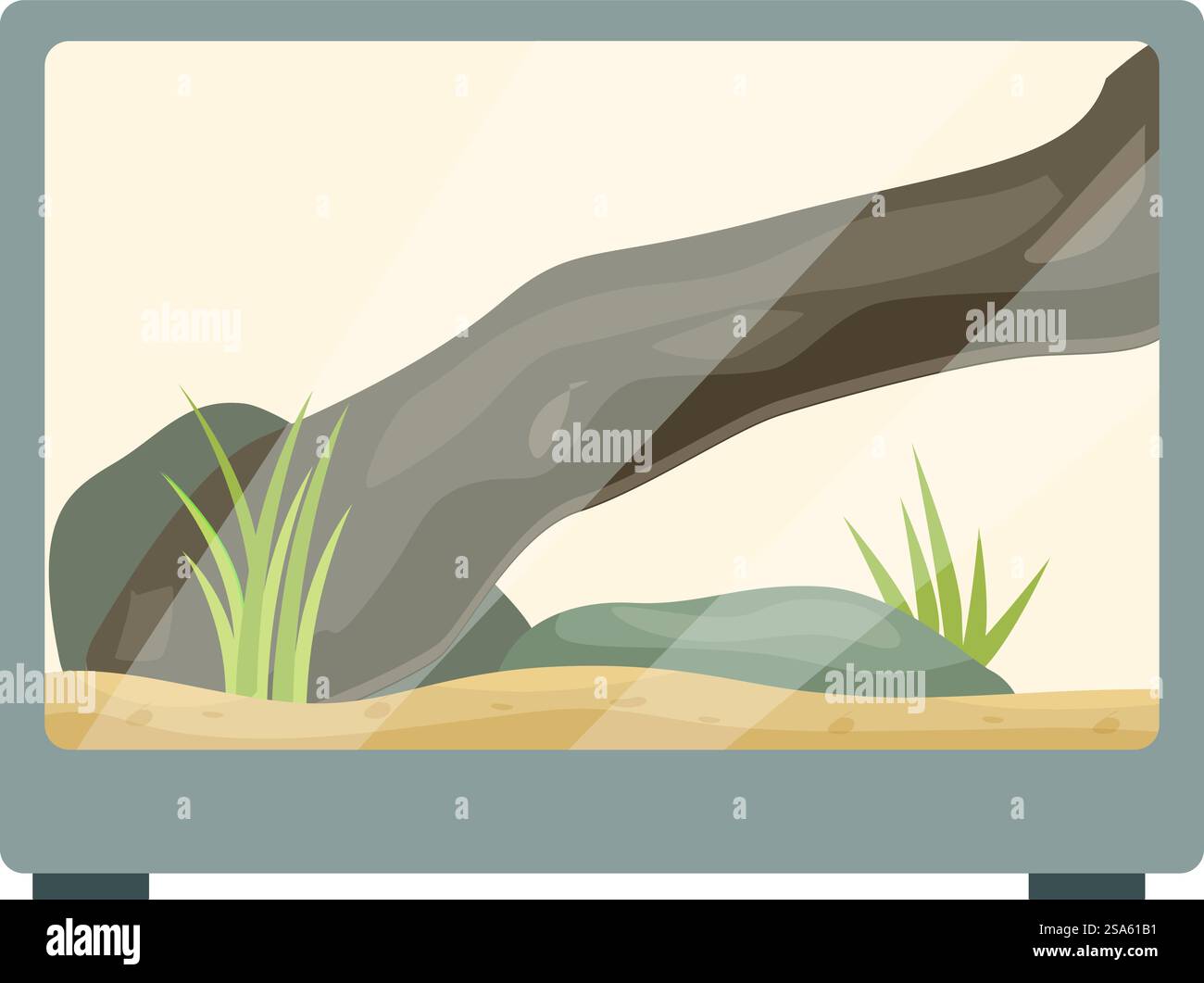 Empty terrarium with sand substrate hi-res stock photography and images ...