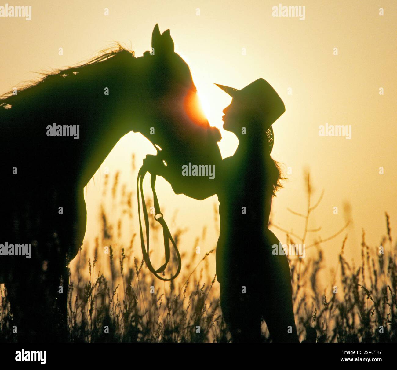 A cowgirl hugging and kissing her horse on a large cattle ranch in ...